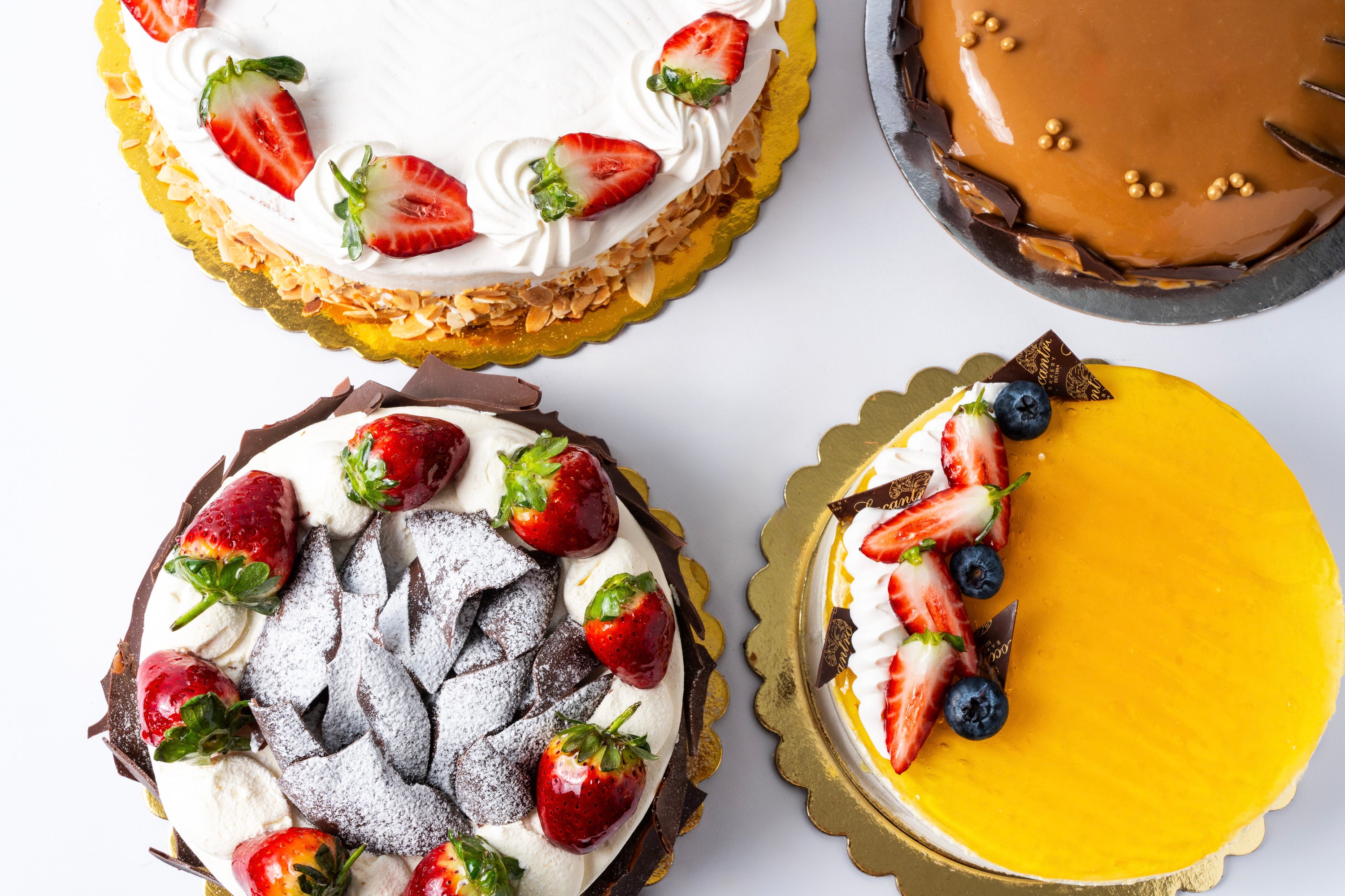 Collections | Locantro Bakery